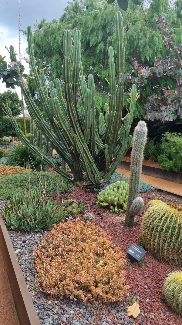 30 Things to do in Canberra: Best Attractions and Hidden Gems ...