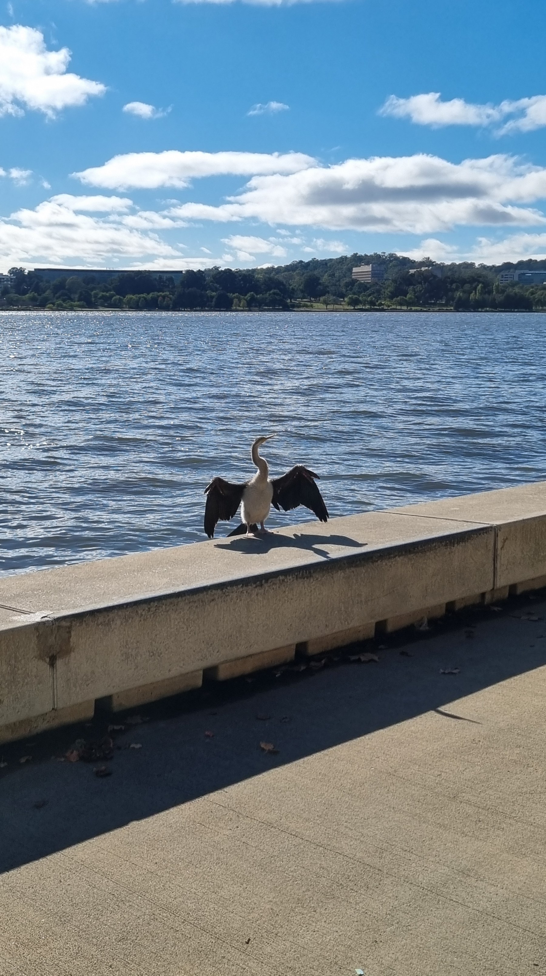 30 Things to do in Canberra: Best Attractions and Hidden Gems ...