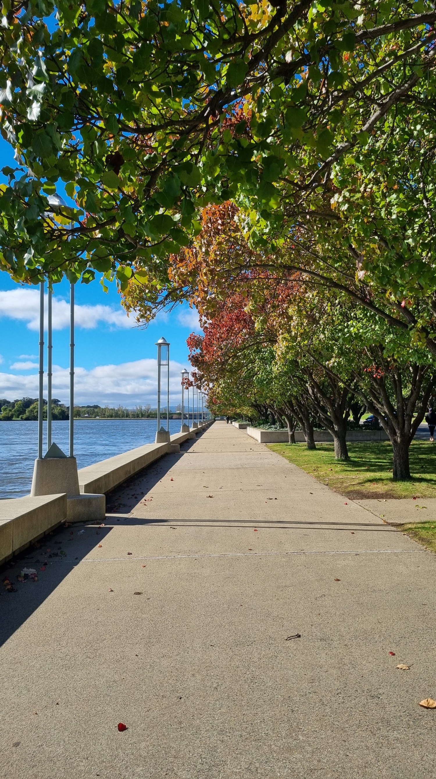 30 Things to do in Canberra: Best Attractions and Hidden Gems ...